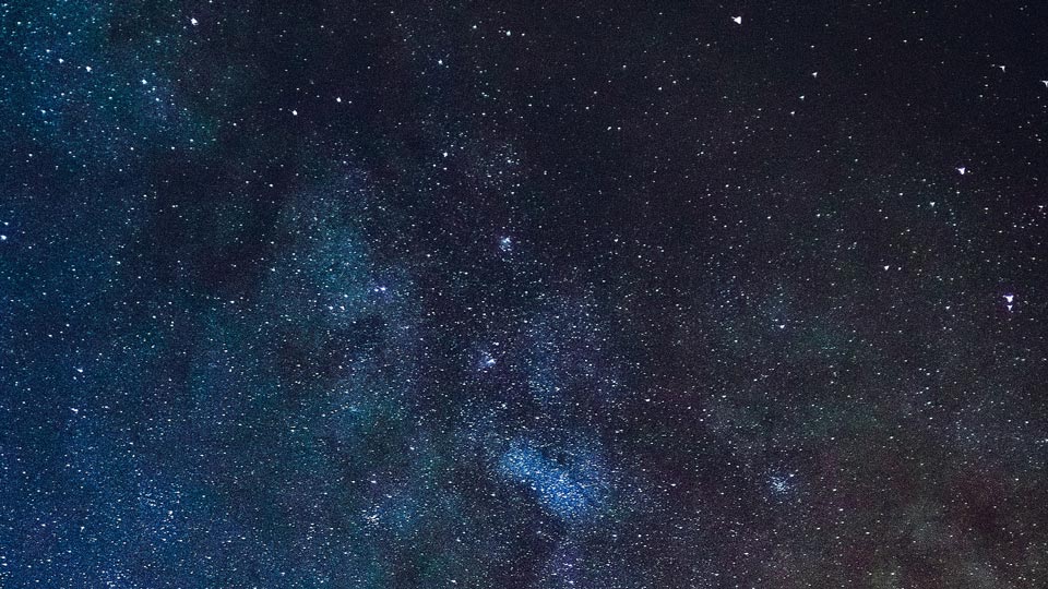 Vermin Wipeout | Home